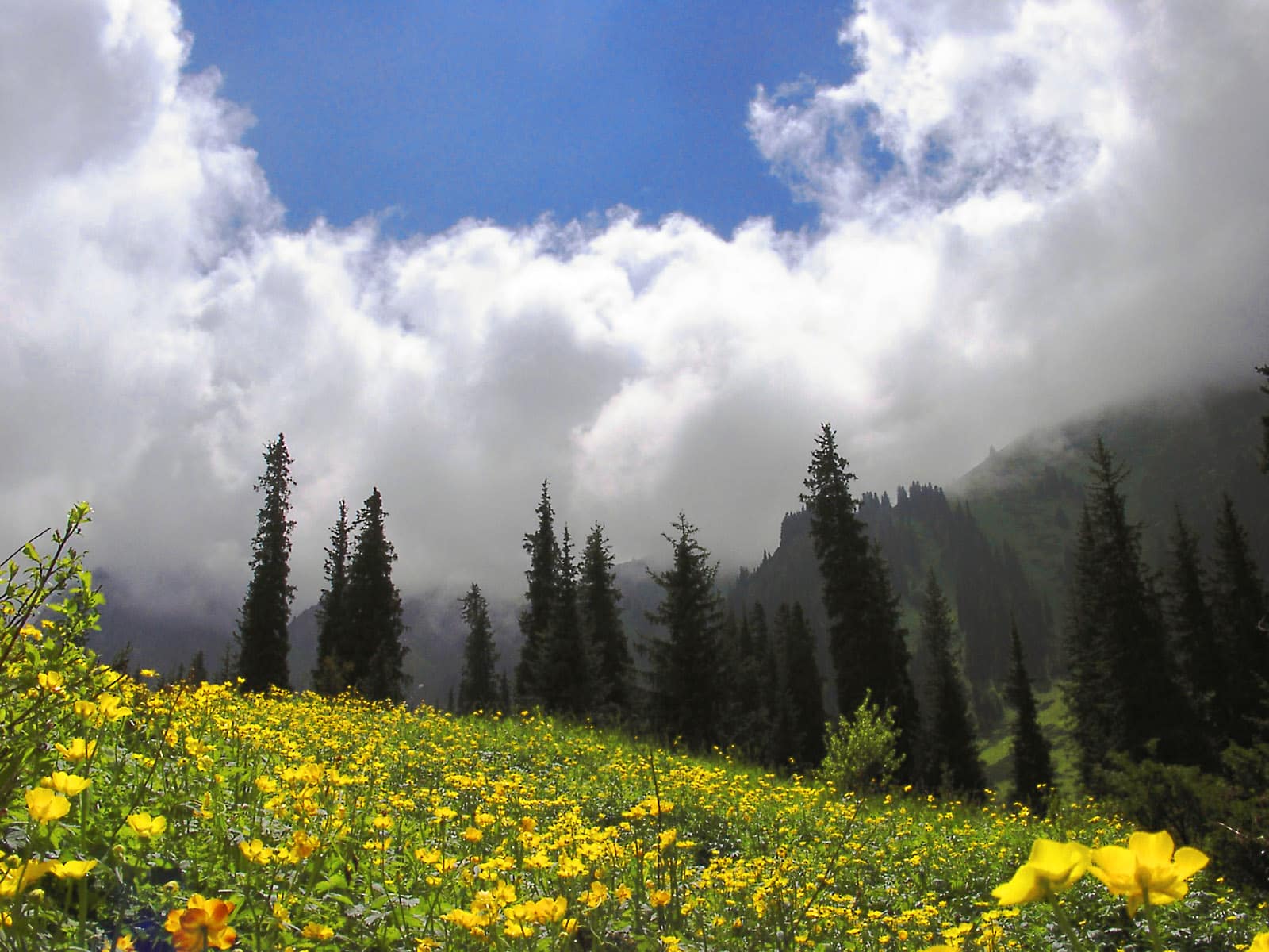 Touristic season for visiting festivals in Kazakhstan | Travel Land