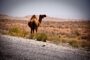 Turkmenistan Nature | Travel Land