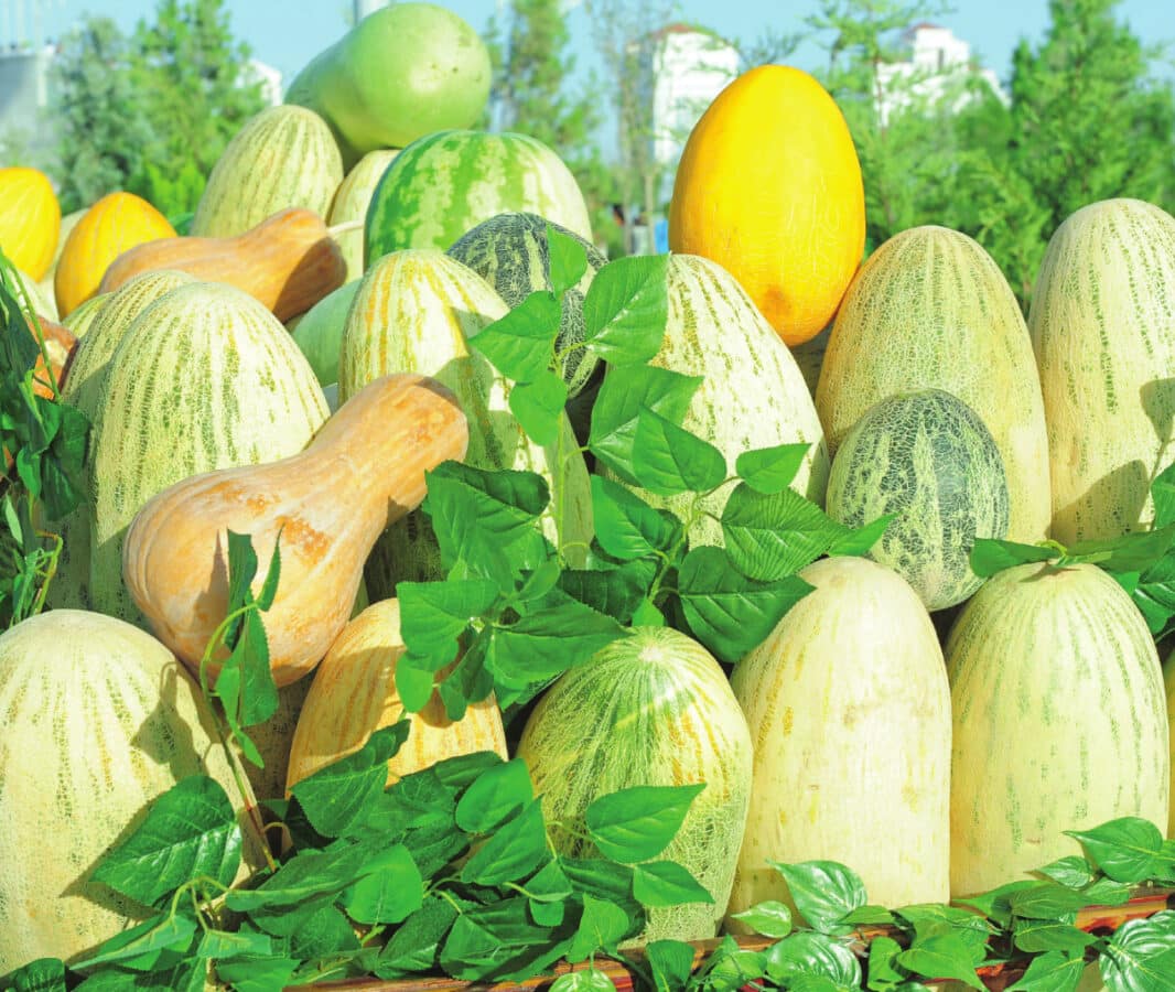 Turkmenistan Festivals | Travel Land